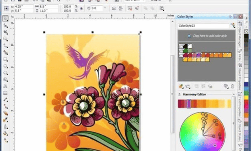 Corel Draw Software: Everything You Need to Know